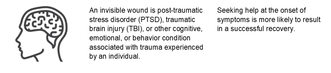 Invisible Wounds Initiative